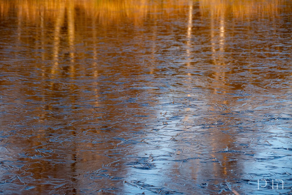 De givre et de glace - Philippe Massart photographie